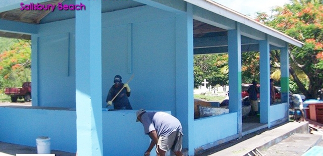 Major Cleanup and Beautification Project at Salisbury on August 21 ...