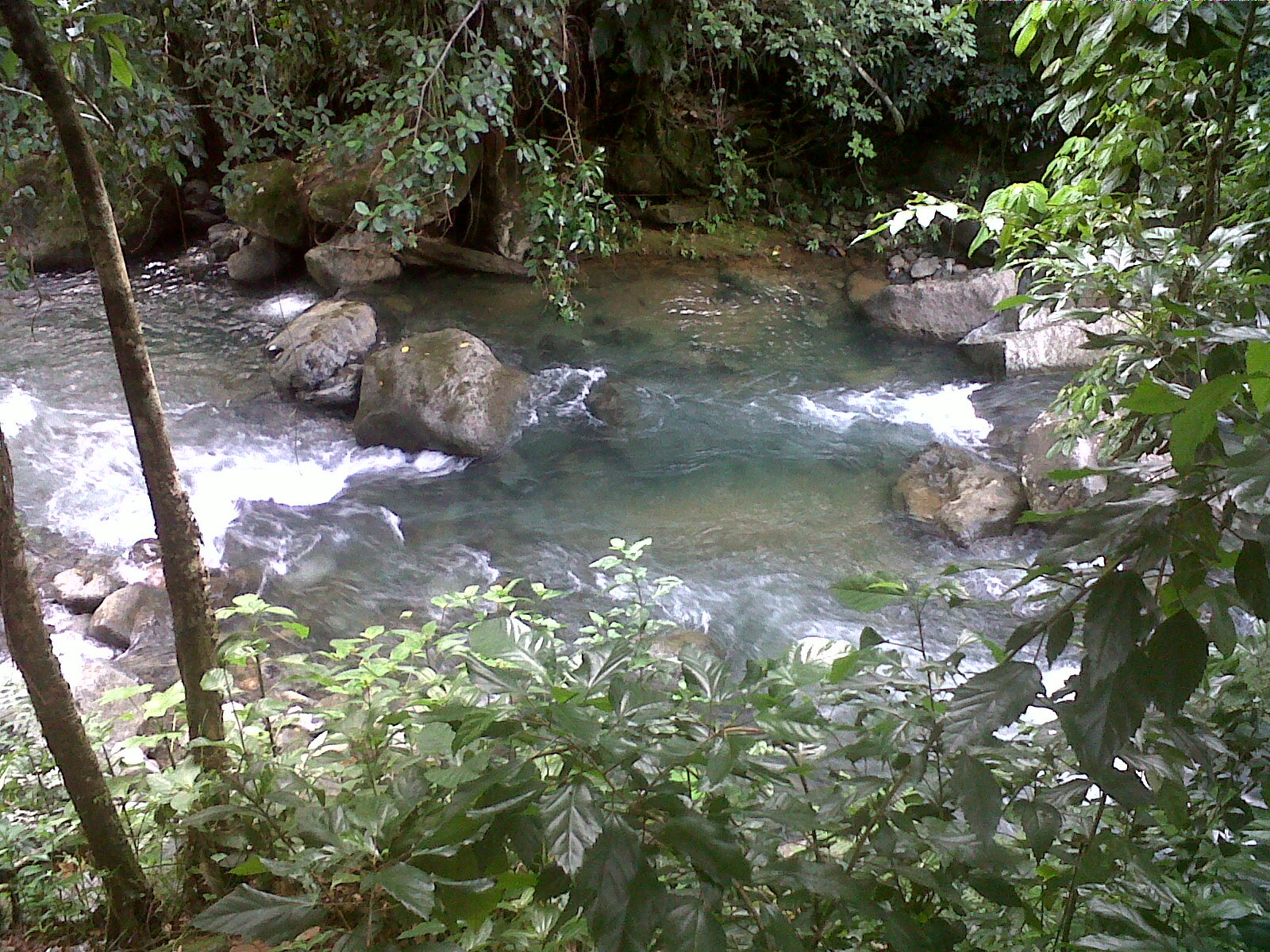PHOTO OF THE DAY: Nothing beats a cool river bath - Dominica News Online