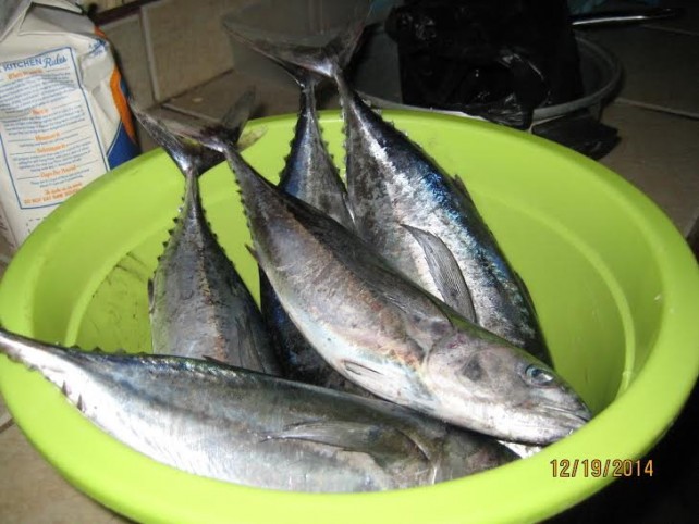 PHOTO OF THE DAY: Heading to the "braff" pot - Dominica News Online