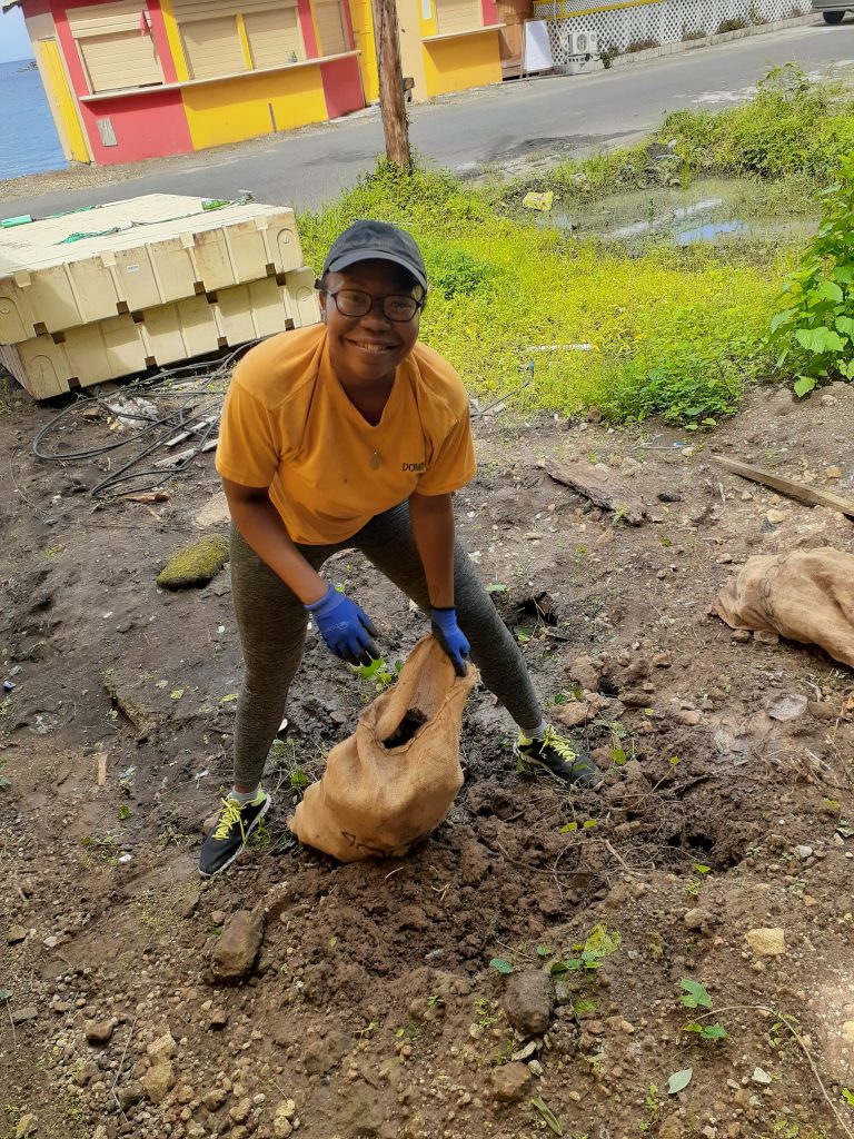 IN PICTURES: National Community Day of Service - Dominica News Online