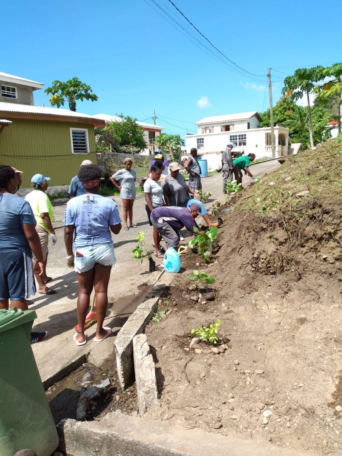 IN PICTURES (WITH VIDEO): Community Day of Service 2020 - Dominica News ...