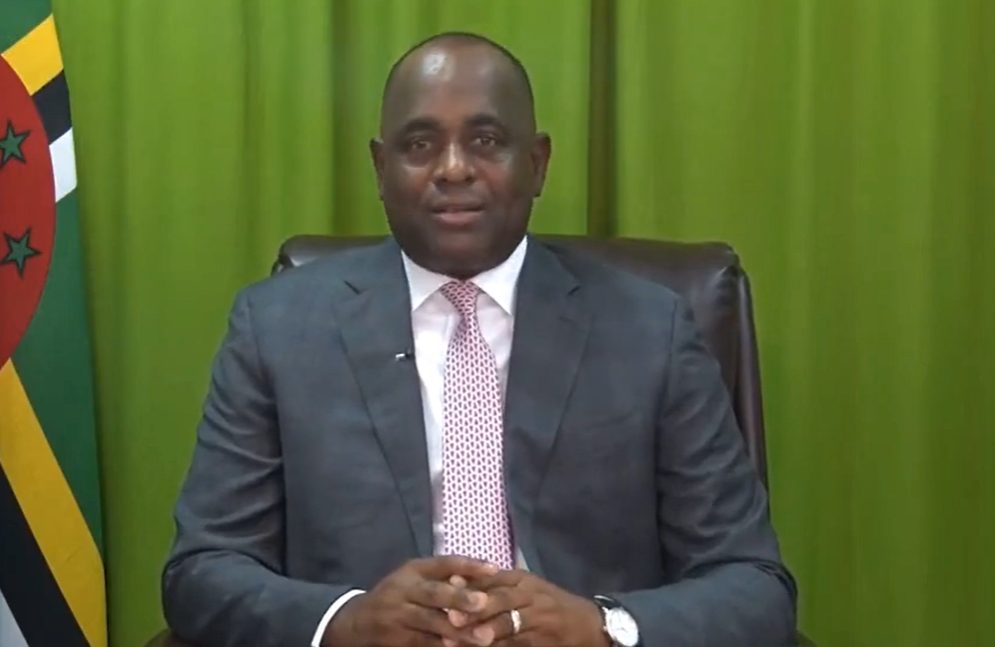Free testing for COVID-19 may soon come to an end - PM Skerrit ...