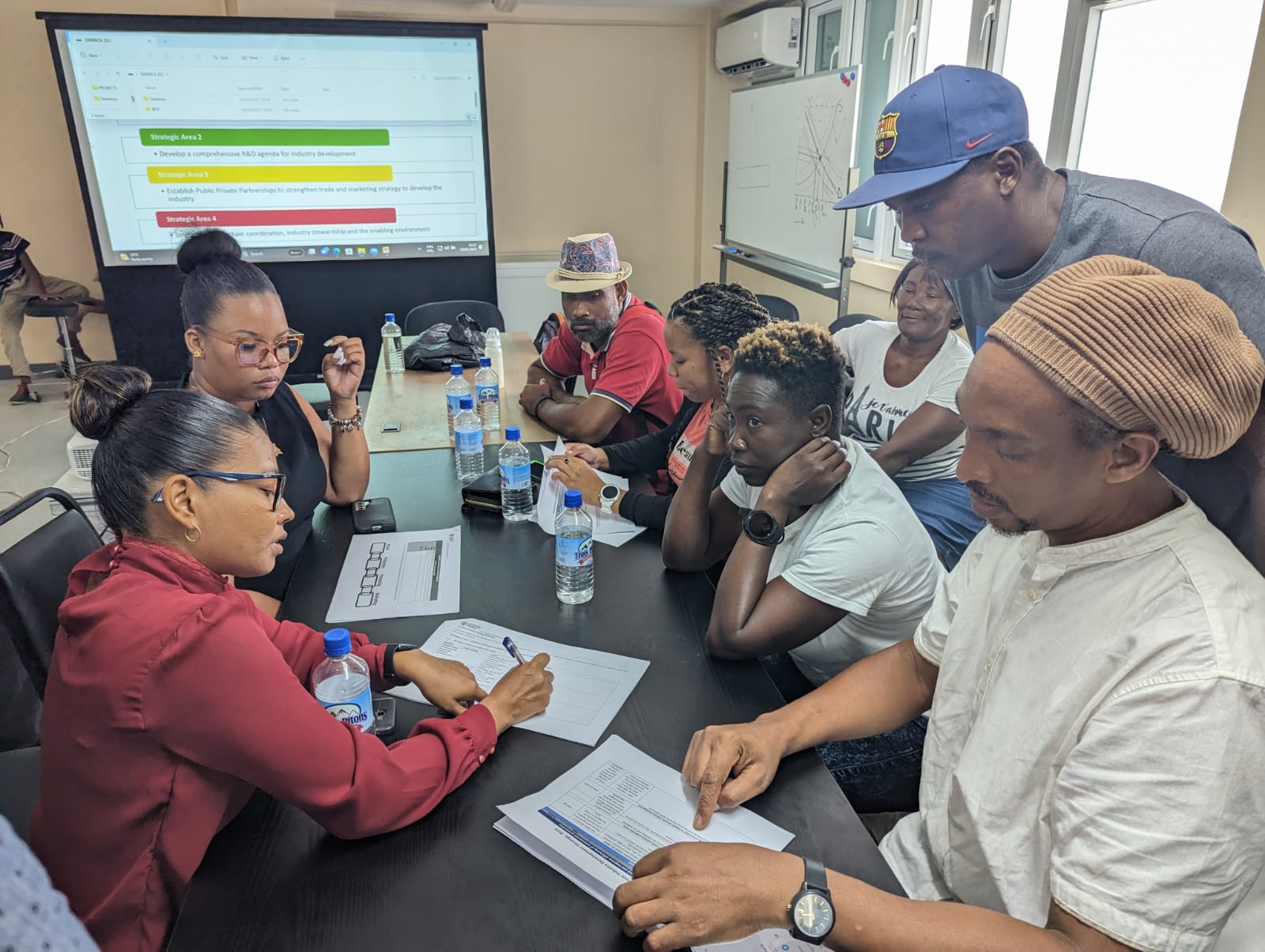 Stakeholders having group discussions- Seamoss Stakeholder Validation ...