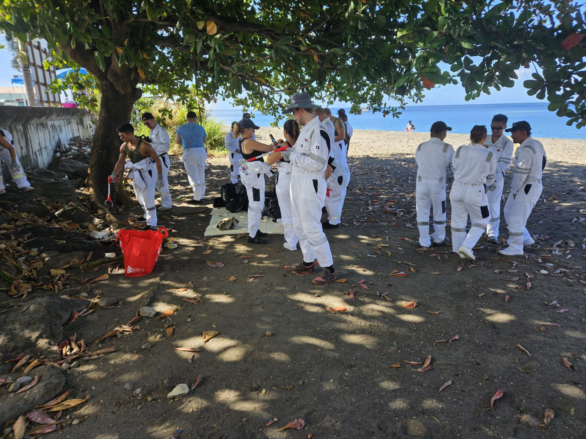 From luxury cruising to environmental crusading: MV AIDAperla's crew ...
