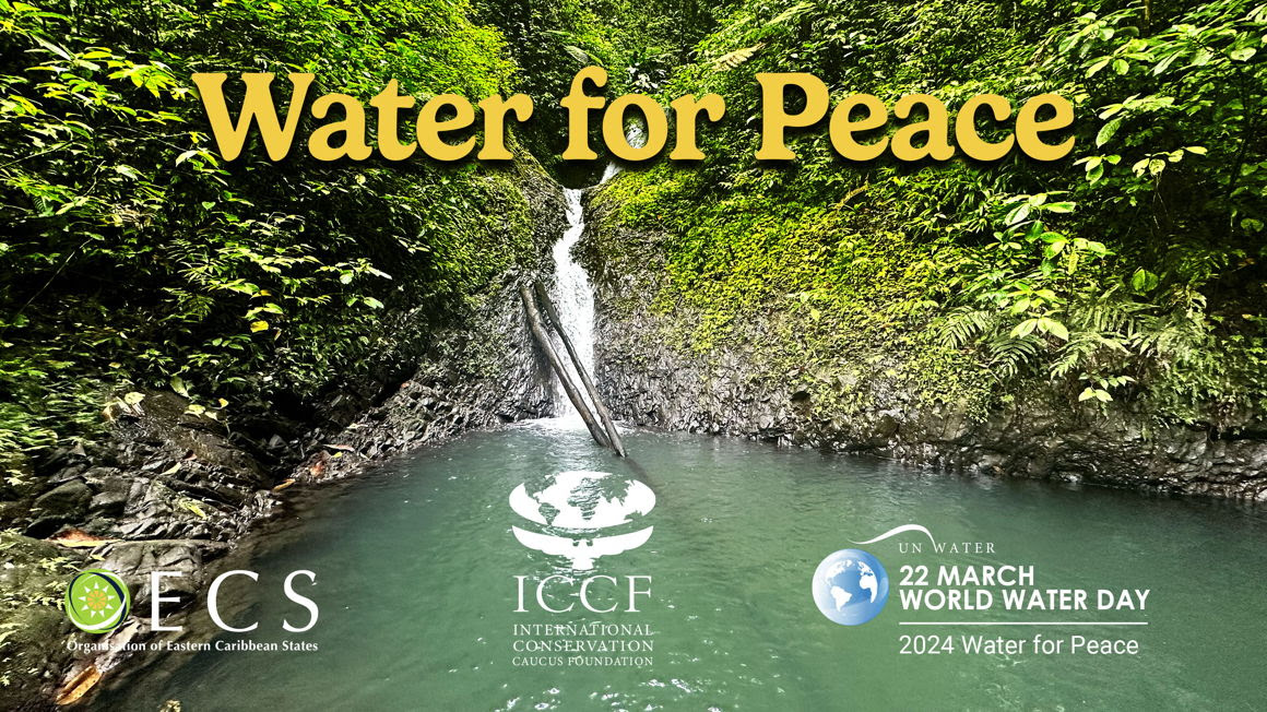 The OECS and ICCF mark World Water Day with key water security ...