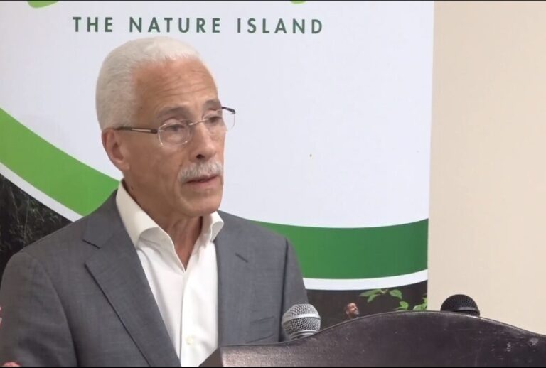 Sunrise Airways discloses Dominica as focus of Eastern Caribbean route ...
