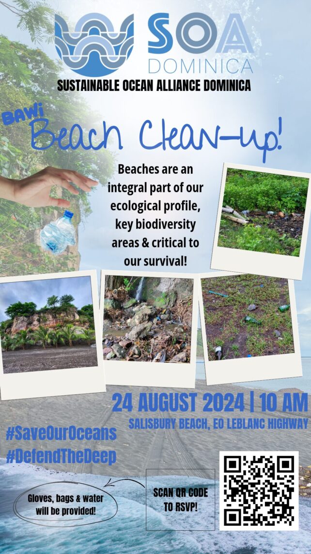 Sustainable Ocean Alliance plans Bawi beach clean up - Dominica News Online