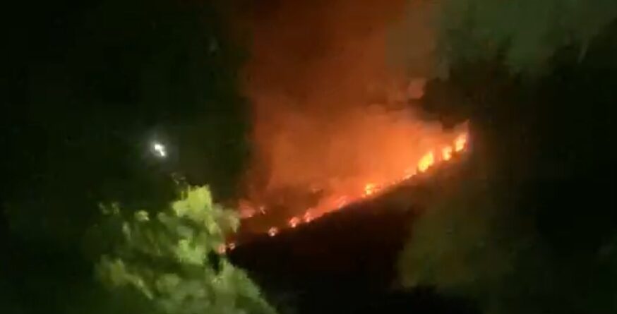 VIDEO: Bush fire at Tarreau - Dominica News Online